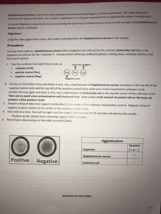 Solved SECTION: NAME LAB 7-BIOCHEMICAL AND SEROLOGICAL | Chegg.com
