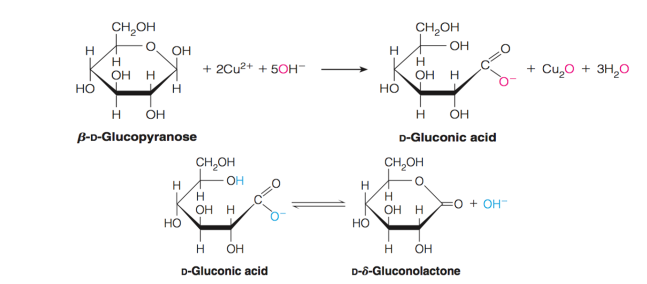 Solved in the reaction of glucose which one gets oxidized | Chegg.com