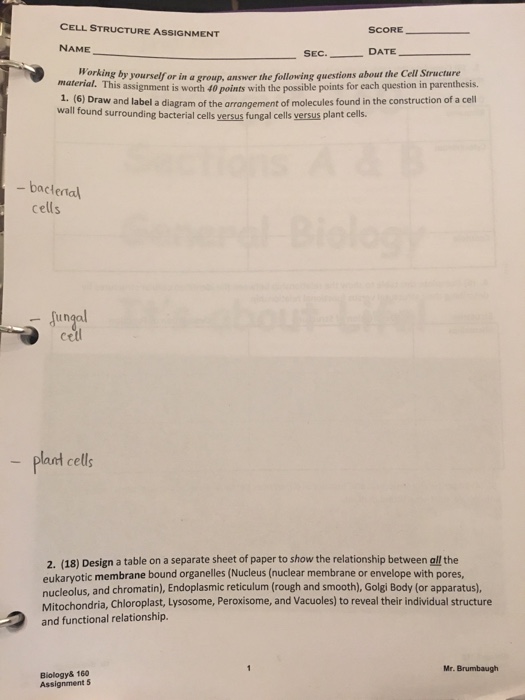 Solved CELL STRUCTURE ASSIGNMENT SCORE NAME SEC. DATE_ | Chegg.com
