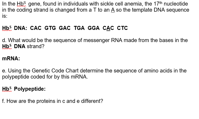 Solved In the Hbs gene, found in individuals with sickle | Chegg.com