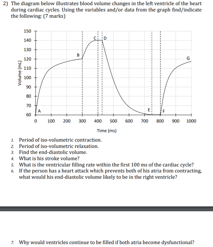 Solved 2) The diagram below illustrates blood volume changes | Chegg.com
