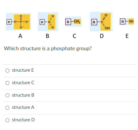 Solved Which structure is a phosphate group? structure E | Chegg.com
