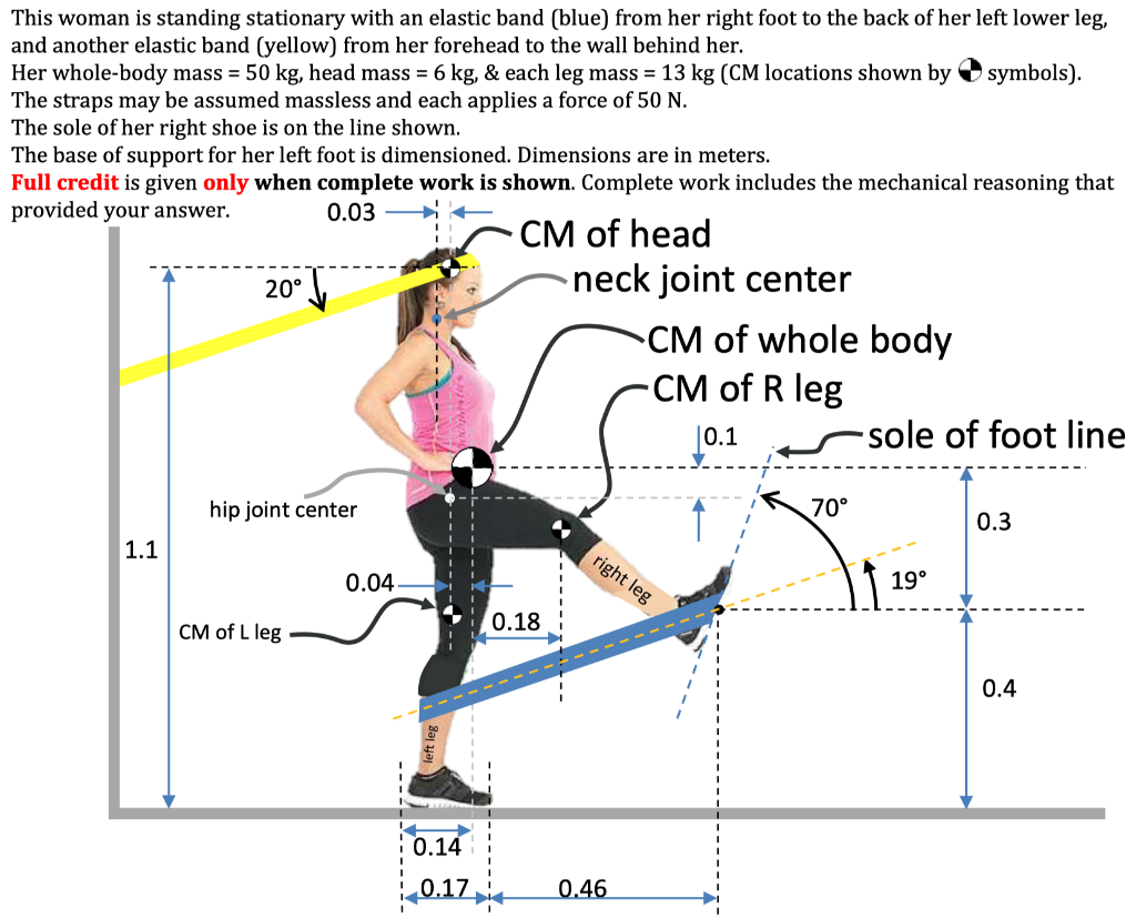 Solved What is the pure torque of the right leg on the | Chegg.com