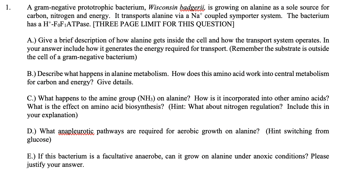 1. A gram-negative prototrophic bacterium, Wisconsin | Chegg.com