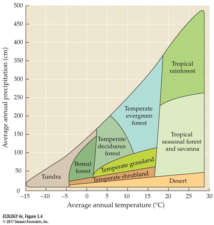 Temperate Deciduous Forest Climate