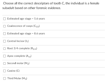 Solved Choose all the correct descriptors of tooth A, the | Chegg.com