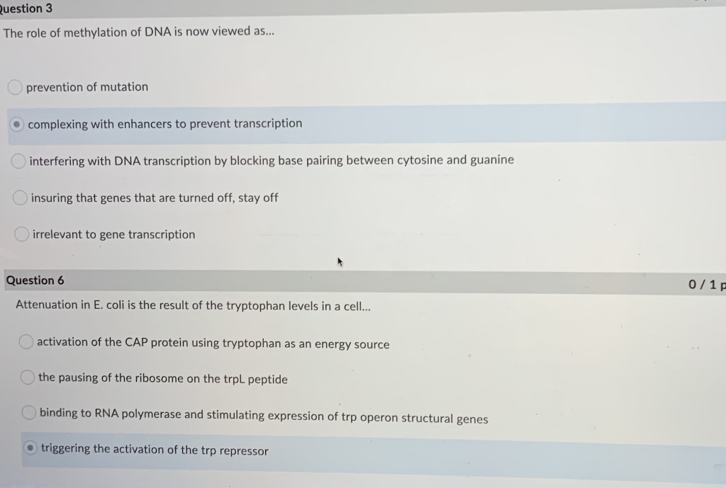Solved In the function of the lac operon in E. coli, the lac | Chegg.com