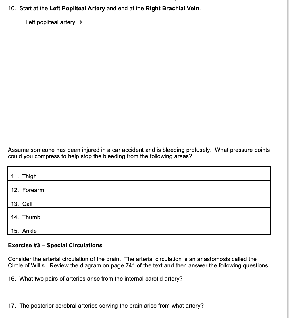 Solved Exercise #2 - Blood Vessel Mapping For questions 9 | Chegg.com