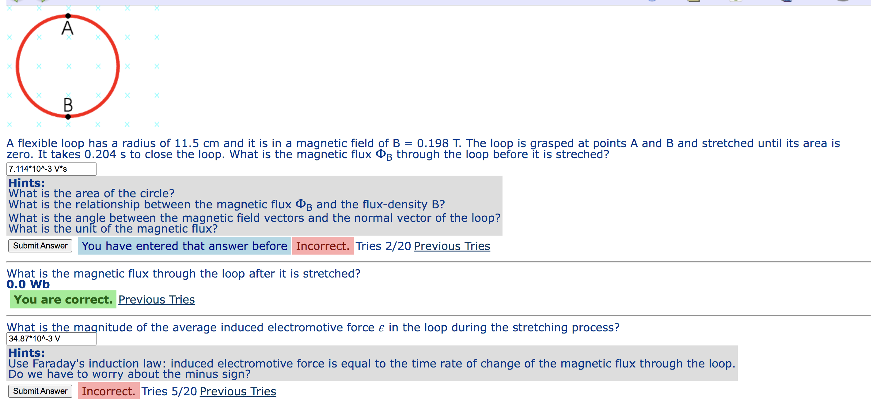 Solved A flexible loop has a radius of 11.5 ﻿cm and it is in | Chegg.com