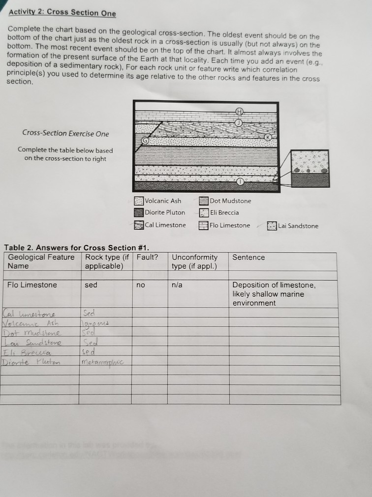 Solved Activity 2: Cross Section One Complete the chart | Chegg.com