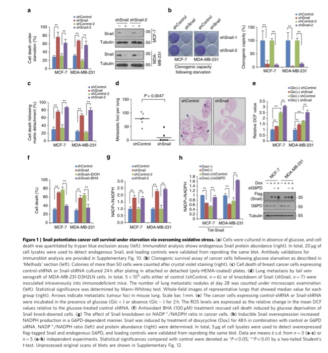 Identify the methods used in Figure 1. Draw a diagram | Chegg.com