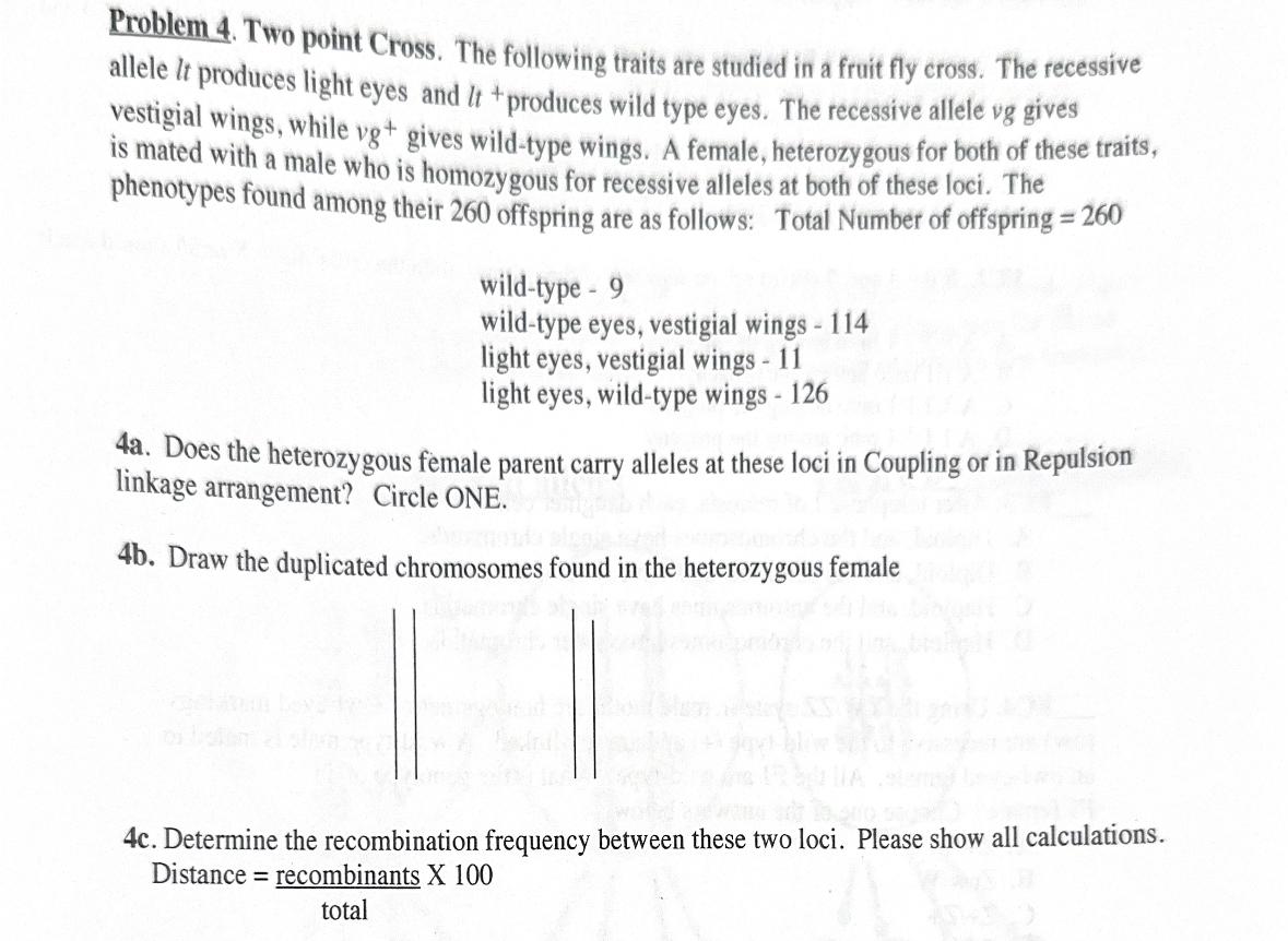Solved Problem 4. Two point Cross. The following traits are | Chegg.com