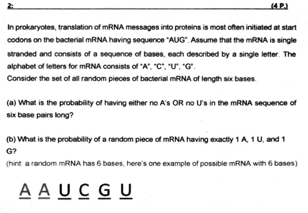 Solved (4P) In prokaryotes, translation of mRNA messages | Chegg.com
