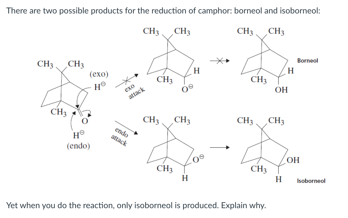 Solved There are two possible products for the reduction of | Chegg.com