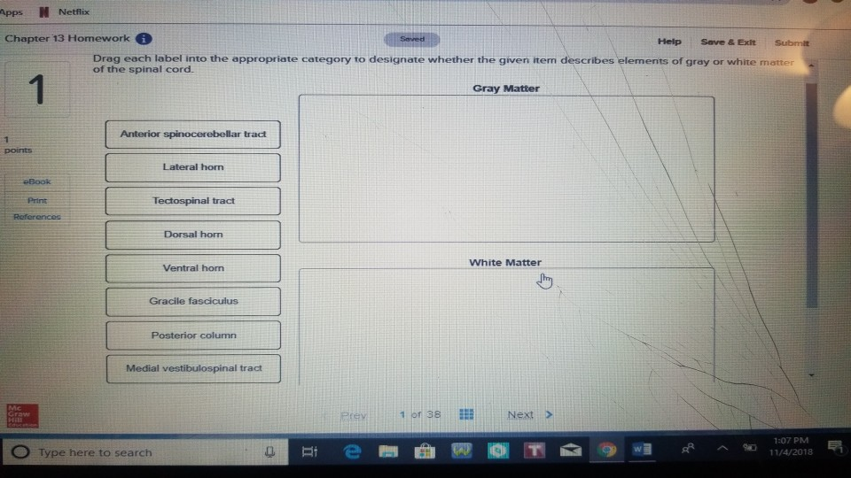 Solved Apps Netflix Chapter 13 Homework Help Save & Exit | Chegg.com