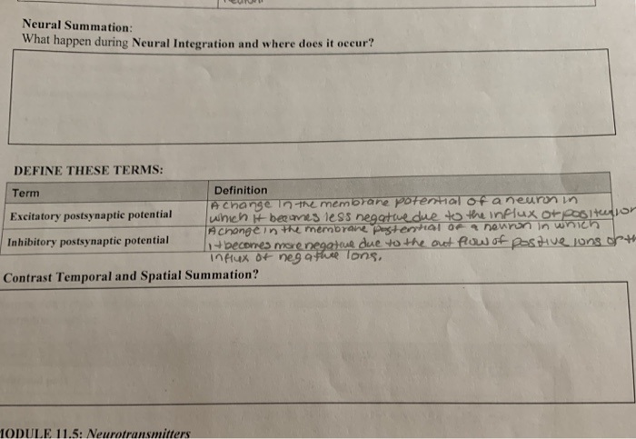 Solved Neural Summation What happen during Neural | Chegg.com