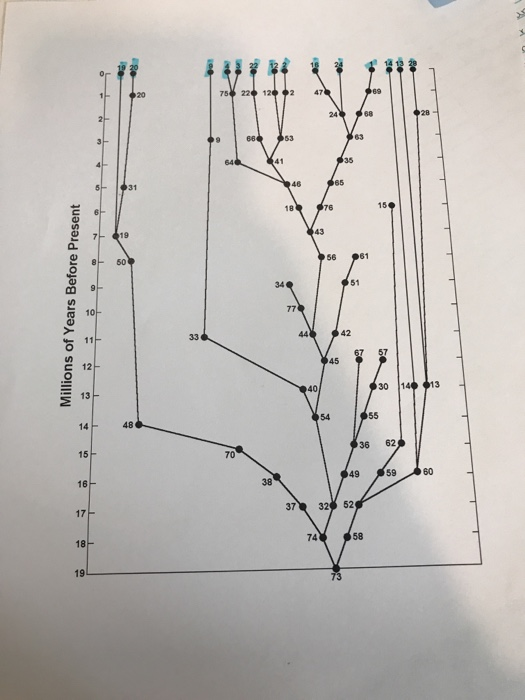 Solved LIVING CAMINALCULES FOSSIL CAMINALCULES (numbers in | Chegg.com