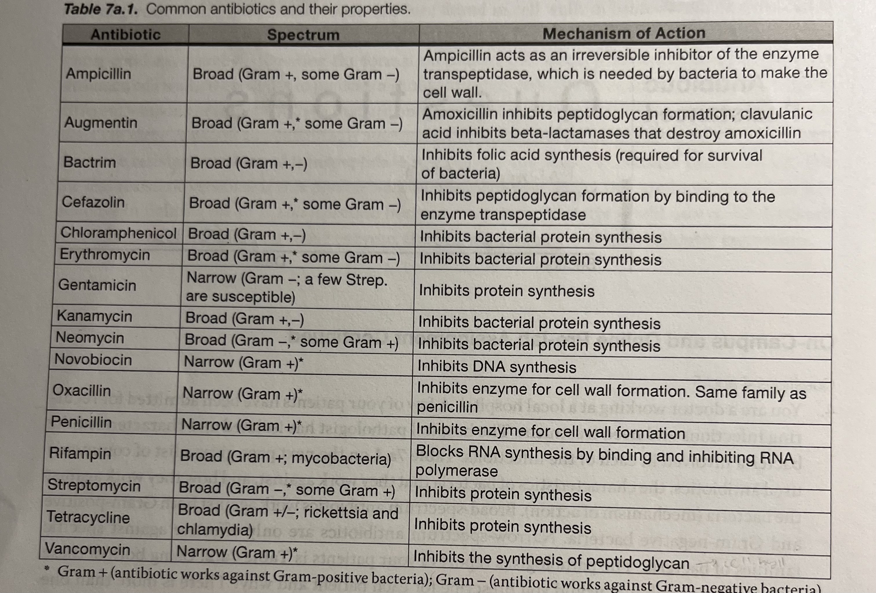Solved In the top-right box, prescribe an antibiotic to | Chegg.com