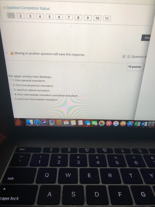 Solved Question Completion Status 2 3 4 5 6 7 8 9 10 11 | Chegg.com