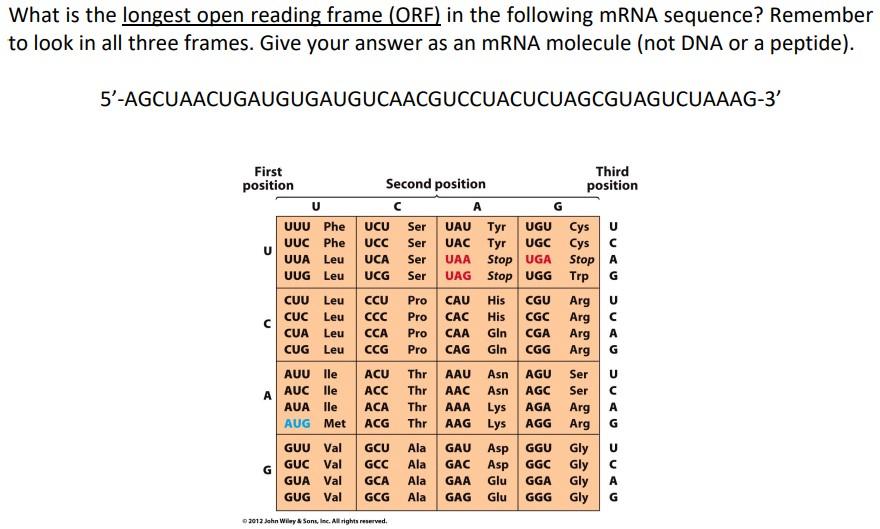 Solved What is the longest open reading frame (ORF) in the | Chegg.com