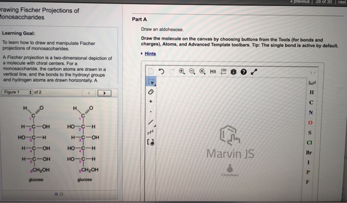 Solved prevous1 28 of 30 next rawing Fischer Projections of | Chegg.com