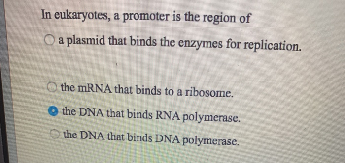 Solved In eukaryotes, a promoter is the region of O a | Chegg.com