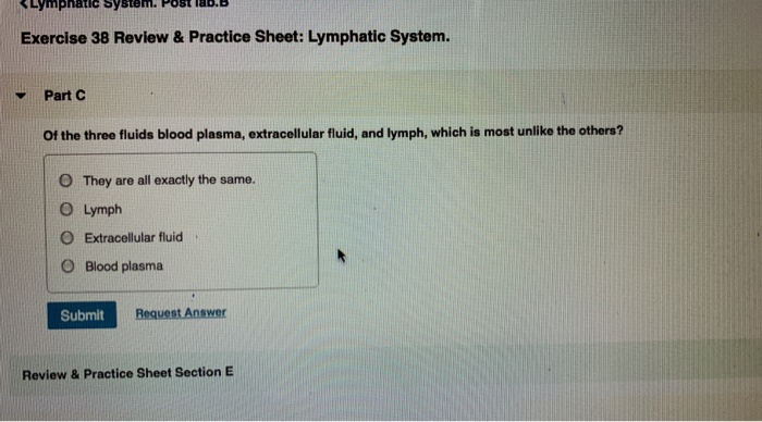 Solved Lympnatic SyStem.Post lab.B Exercise 38 Review & | Chegg.com