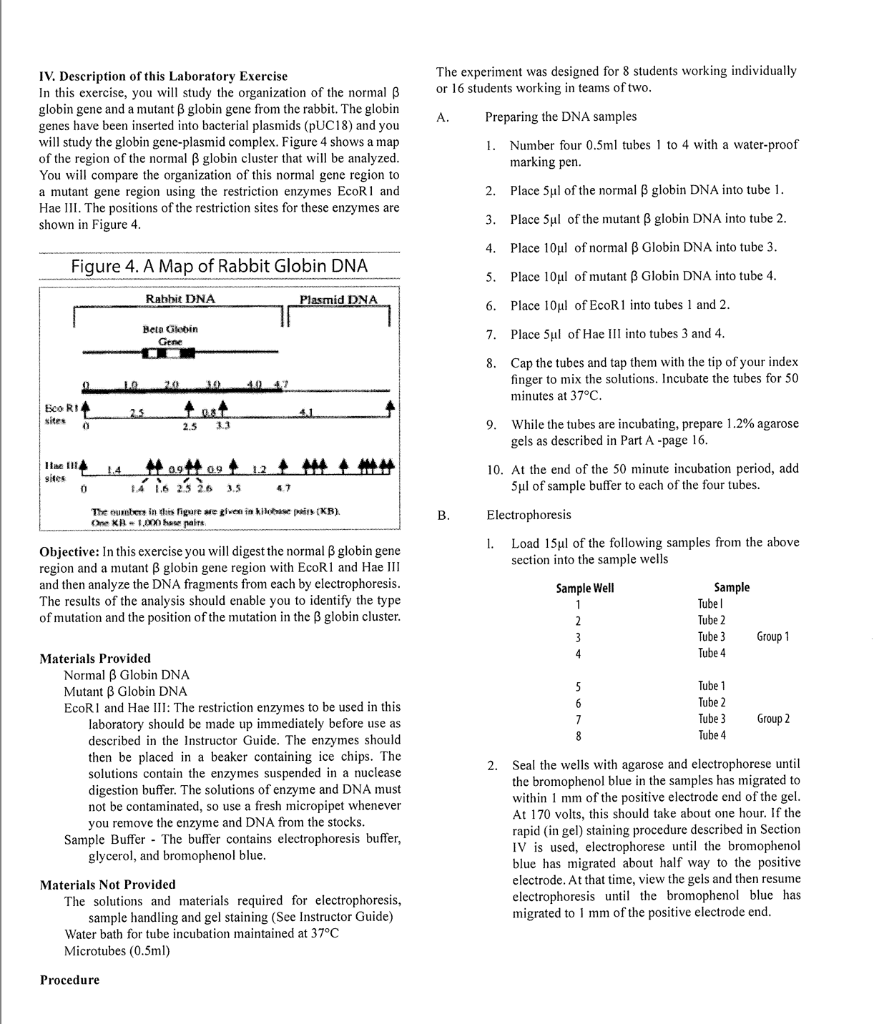 The blue picture is the experiment in lanes 1 and | Chegg.com