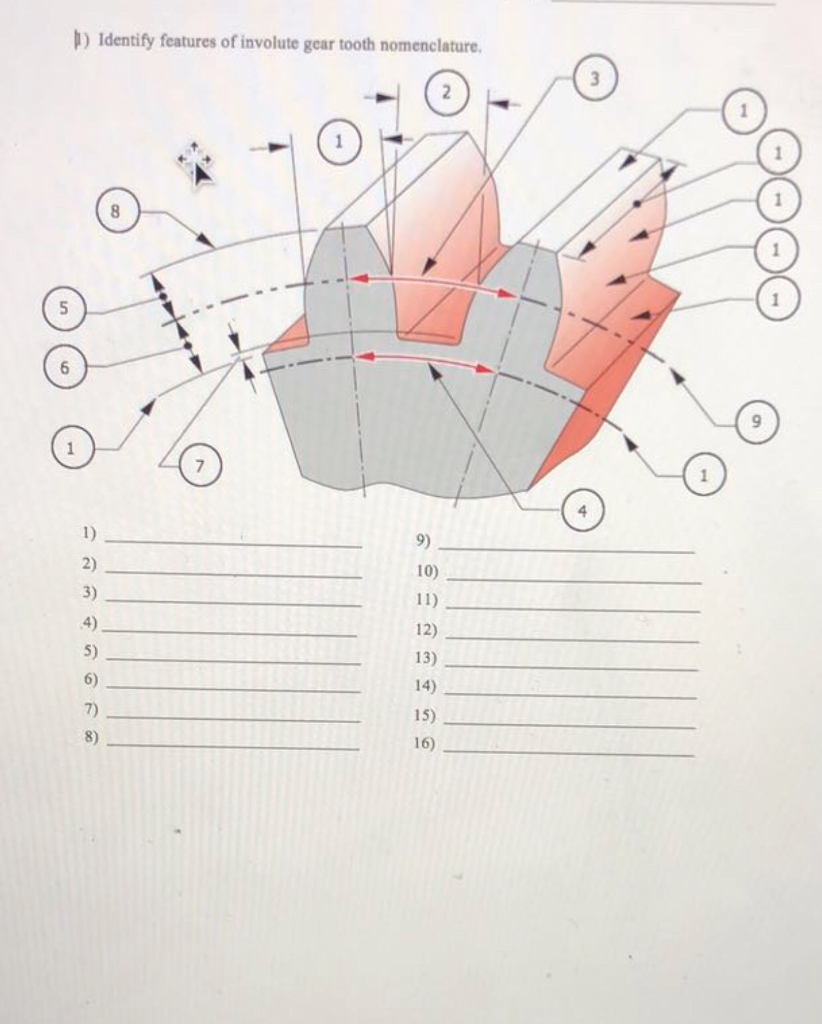 Solved ) Identify features of involute gear tooth | Chegg.com