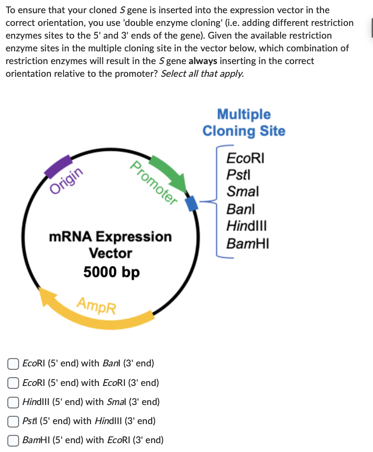 Solved To ensure that your cloned S ﻿gene is inserted into | Chegg.com