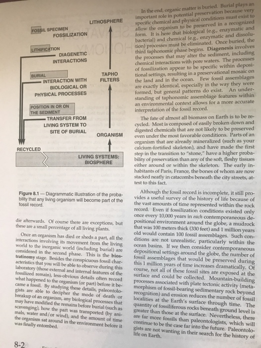 EXERCISE 8 FOSSIL PRESERVATION AND TAPHONOMY | Chegg.com