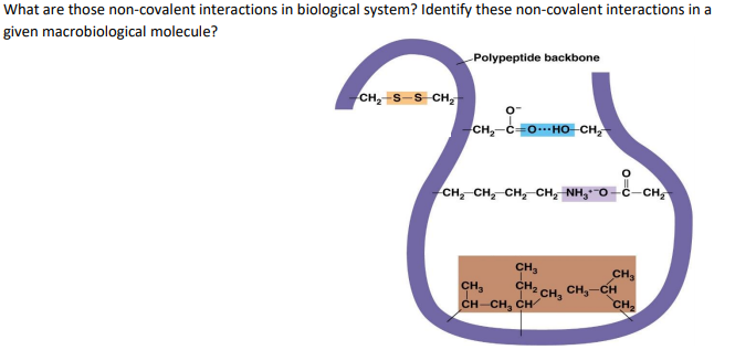 Solved What are those non-covalent interactions in | Chegg.com