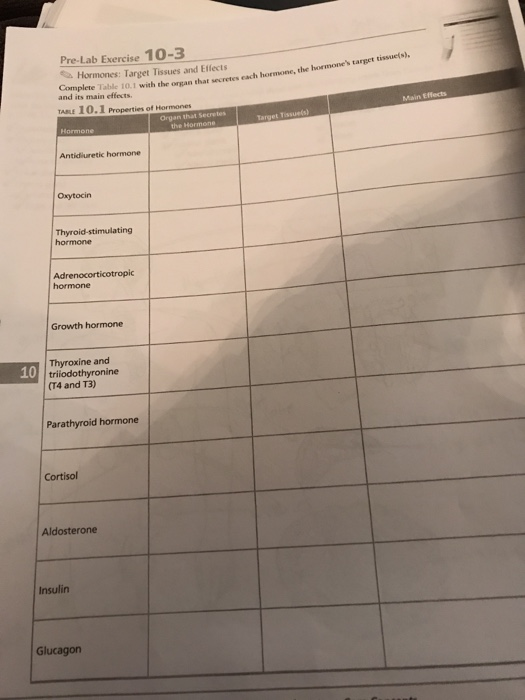 Solved Pre-Lab Exercise 10-3 Hormones: Target Tissues and | Chegg.com