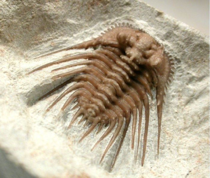 Solved Worksheet 1: Question: As you can see by the museum | Chegg.com