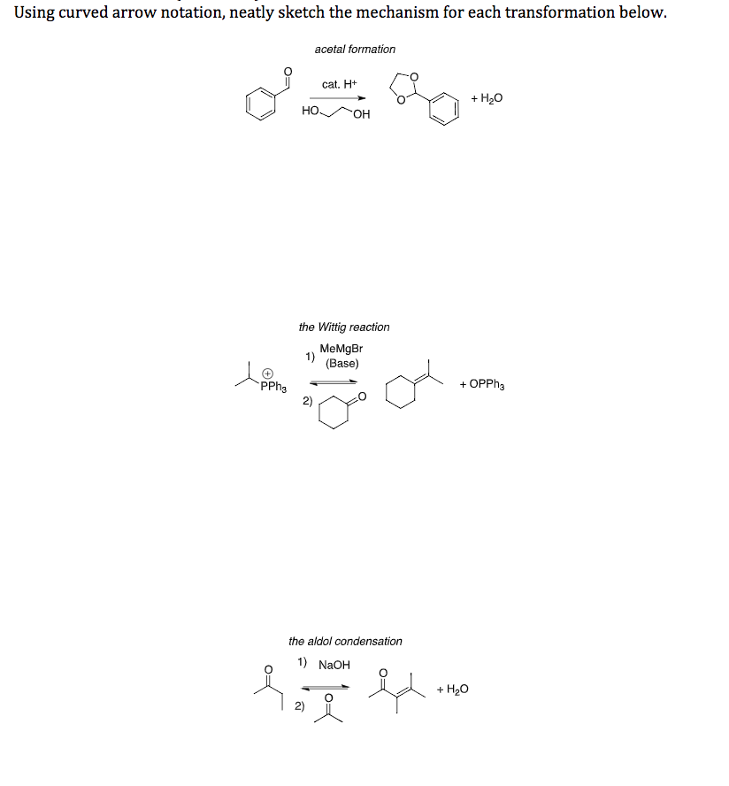 Solved Using curved arrow notation, neatly sketch the | Chegg.com