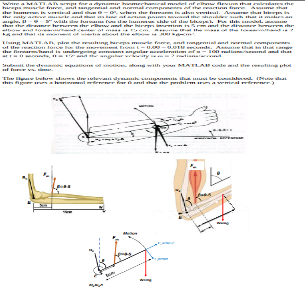 Solved Write a MATLAB script for a dynamic biomechanical | Chegg.com