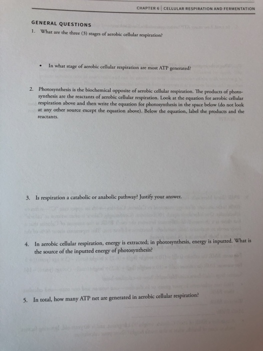 Chapter 9 Cellular Respiration Fermentation Biology Chapter 9 Cellular Respiration Fermentation Biology
