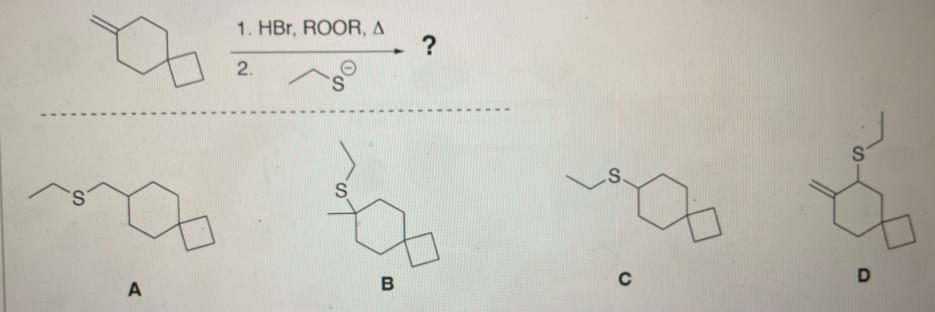 Solved 1. HBr,ROOR,Δ? 2. A B c D | Chegg.com