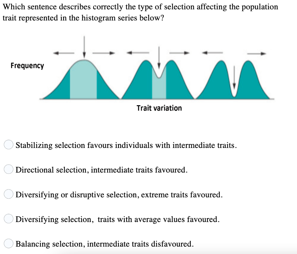 Balancing Selection