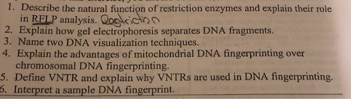 Solved 1. Describe the natural function of restriction | Chegg.com