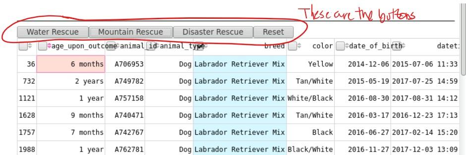 I need help with the logic(syntax) of the following | Chegg.com