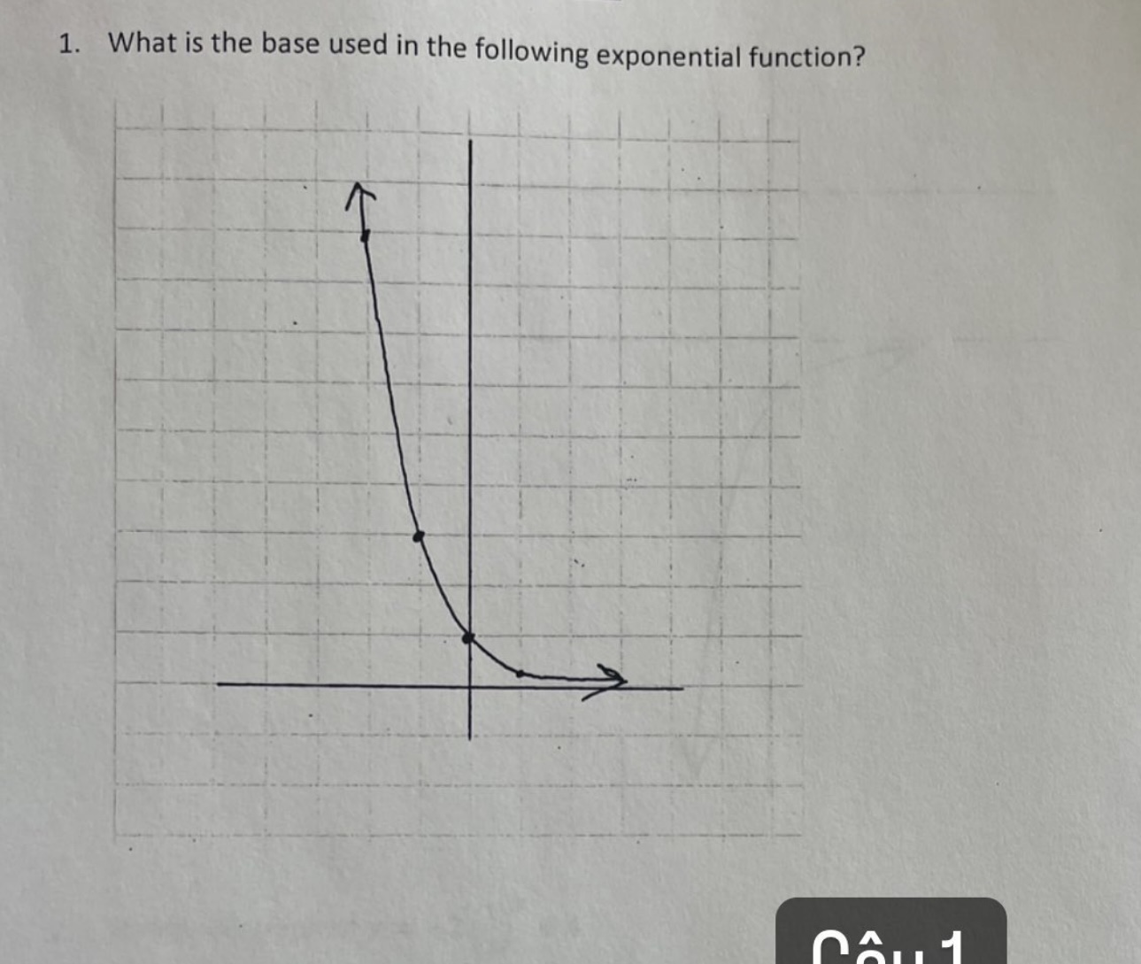Solved 1. What is the base used in the following exponential | Chegg.com