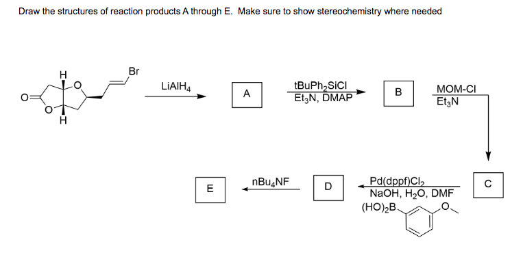 Solved Draw the structures of reaction products A through E. | Chegg.com