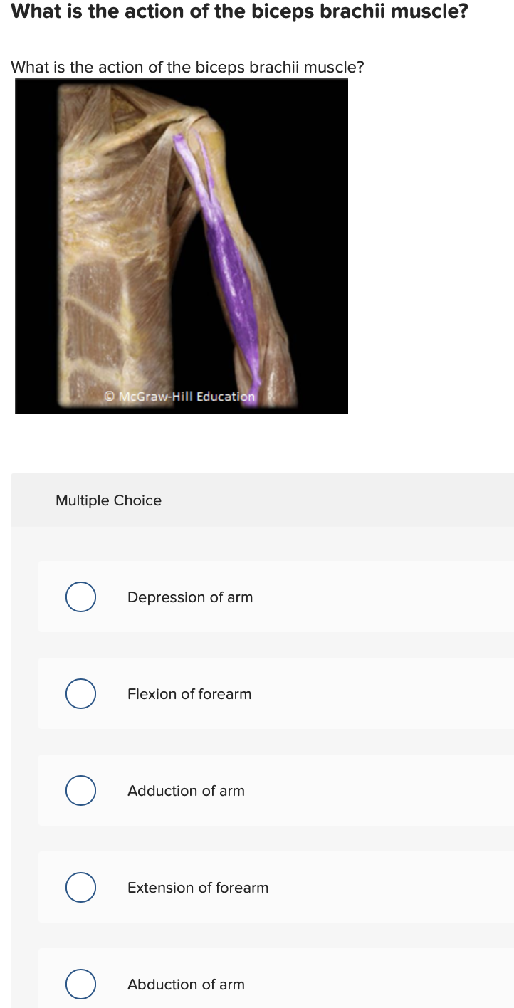 Solved What is the action of the biceps brachii muscle? What | Chegg.com
