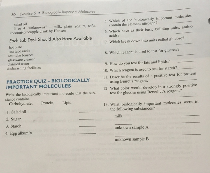 Solved 50 Exercise 5 Biologically Important Molecules salad | Chegg.com