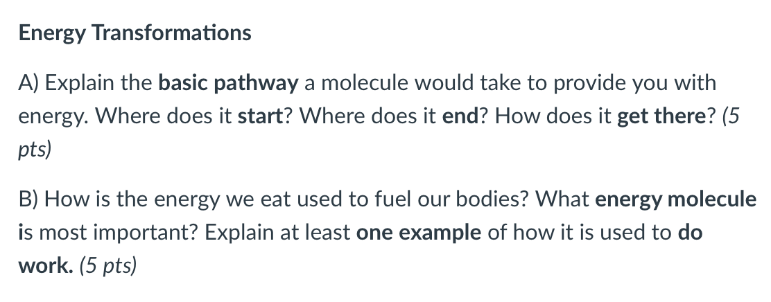 Solved Energy Transformations A) Explain the basic pathway a | Chegg.com