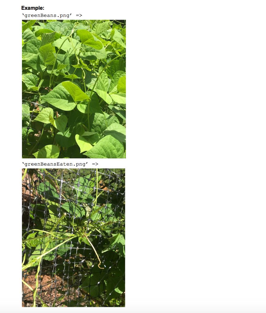 Solved Function Name: Better5DataAnalysis Inputs: 1. (char) | Chegg.com