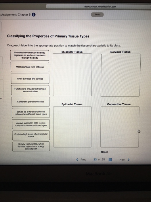 Solved on.com Assignment Chapter 56 Classifying the | Chegg.com