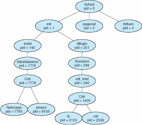 Solved Construct a similar process tree in C using pstree. | Chegg.com