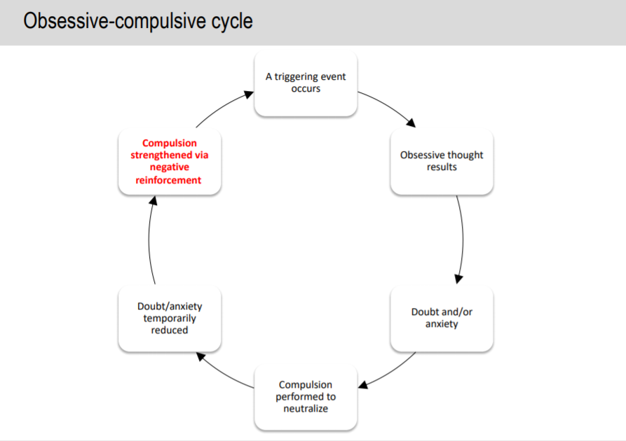 Solved Describe Phoebe’s first OCD symptoms in the context | Chegg.com